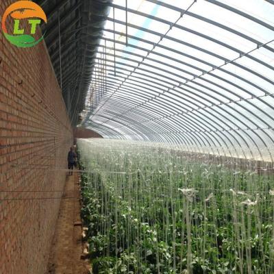 China High Strength Solar Agricultural Greenhouses with Easy Assembly and Greenhouse Benches for sale