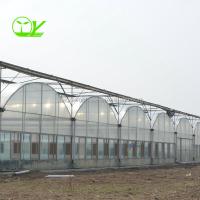 China PP Hydroponic Tomato Growing Dutch Bucket System for Vegetables for sale