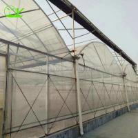 China PP Hydroponic Tomato Growing Dutch Bucket System for Vegetables for sale