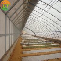 China High Strength Solar Agricultural Greenhouses with Easy Assembly and Greenhouse Benches for sale