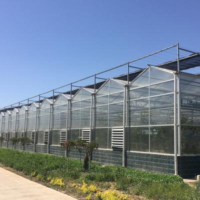 China Instruction for Agricultural Glass Hydroponics System Commercial Greenhouses Frame for sale