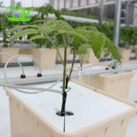 China Industrial Greenhouse Hydroponic Vegetable Growing System with 11 liters Volume for sale