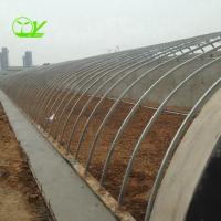 China Agricultural Solar Greenhouses with Ventilation System and Customizable Arch Space for sale