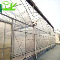 China Industrial Greenhouse Hydroponic Vegetable Growing System with 11 liters Volume for sale