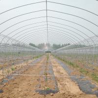 China High Tunnel Agricultural Greenhouse for Tomato Cultivation Single Layer Film Cover for sale