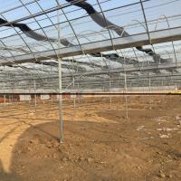 China Large Hot Galvanized Steel Structure Gutter Connected Greenhouse with Height 3.0-4.8m for sale