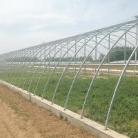 China High Tunnel Agricultural Greenhouse for Tomato Cultivation Single Layer Film Cover for sale