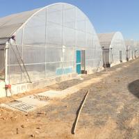 China High Tunnel Agricultural Greenhouse for Tomato Cultivation Single Layer Film Cover for sale