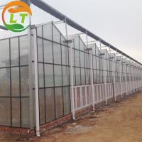 China 3m Height Large Glass Greenhouse for Tomato Planting in Skeleton Design Customized for sale