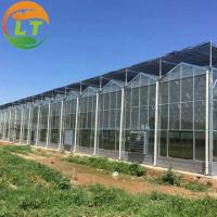 China 3m Height Large Glass Greenhouse for Tomato Planting in Skeleton Design Customized for sale