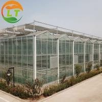 China 3m Height Large Glass Greenhouse for Tomato Planting in Skeleton Design Customized for sale