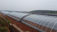 China Customized Width Traditional Solar Vegetable Greenhouse with Film Cover Material for sale
