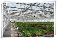 China Hydroponic NFT System for Greenhouse Optional Irrigation Solution Included for sale