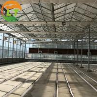 China Hot-Dip Galvanized Steel Multi-Span Agricultural Greenhouses for Sustainable Planting for sale