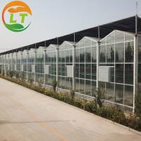 China Hot-Dip Galvanized Steel Multi-Span Agricultural Greenhouses for Sustainable Planting for sale
