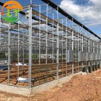 China Hot-Dip Galvanized Steel Multi-Span Agricultural Greenhouses for Sustainable Planting for sale