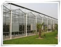 China Hydroponic NFT System for Greenhouse Optional Irrigation Solution Included for sale