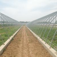 China Plastic Film/Glass Greenhouse For Agriculture And Livestock  Height Designable for sale