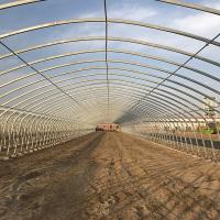 China PE Greenhouse Arches Film Single Span Tunnel for Vegetables Shed of Designable Length for sale