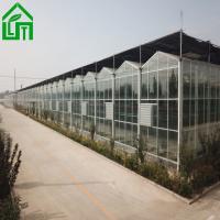 China 8m Width Glass Greenhouse for Growing Vegetables Stable Structure and Customizable for sale