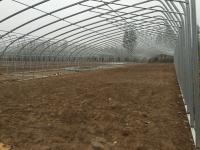 China Film Cover Winter Solar Greenhouse Kits for Extended Growing Season for sale