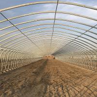 China PE Greenhouse Arches Film Single Span Tunnel for Vegetables Shed of Designable Length for sale