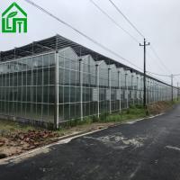 China 8m Width Glass Greenhouse for Growing Vegetables Stable Structure and Customizable for sale