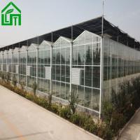 China 8m Width Glass Greenhouse for Growing Vegetables Stable Structure and Customizable for sale