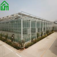 China 8m Width Glass Greenhouse for Growing Vegetables Stable Structure and Customizable for sale