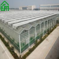 China 8m Width Glass Greenhouse for Growing Vegetables Stable Structure and Customizable for sale