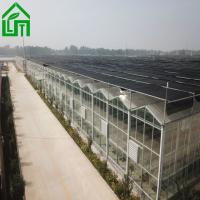 China 8m Width Glass Greenhouse for Growing Vegetables Stable Structure and Customizable for sale
