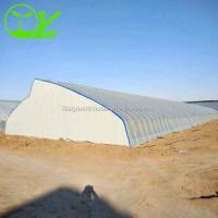 China Budget-Friendly Agricultural Plastic Film Greenhouse for Vegetable Fruits Flowers for sale