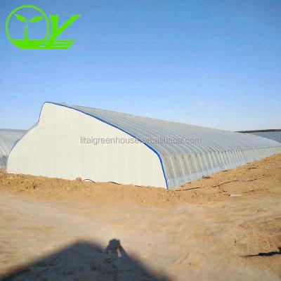 China Budget-Friendly Agricultural Plastic Film Greenhouse for Vegetable Fruits Flowers for sale