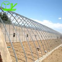 China Budget-Friendly Agricultural Plastic Film Greenhouse for Vegetable Fruits Flowers for sale