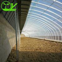 China Budget-Friendly Agricultural Plastic Film Greenhouse for Vegetable Fruits Flowers for sale