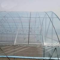China Budget-Friendly Agricultural Plastic Film Greenhouse for Vegetable Fruits Flowers for sale