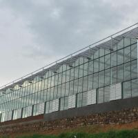 China Budget-Friendly Agricultural Plastic Film Greenhouse for Vegetable Fruits Flowers for sale