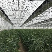 China Water Heating System Korean Mode Film Agricultural Greenhouses for Year-Round Farming for sale