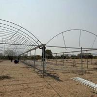 China Single Layer Roof and Side Ventilation Namibia Commercial Greenhouse for Tomatoes Farming for sale