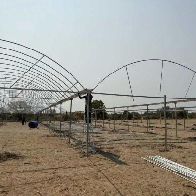 China Single Layer Roof and Side Ventilation Namibia Commercial Greenhouse for Tomatoes Farming for sale