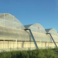 China Water Heating System Korean Mode Film Agricultural Greenhouses for Year-Round Farming for sale