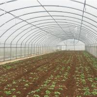 China Single-Span Agricultural Greenhouses Solution for Growing Produce for sale