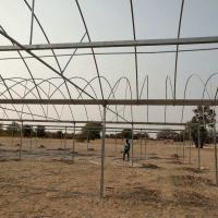 China Single Layer Roof and Side Ventilation Namibia Commercial Greenhouse for Tomatoes Farming for sale