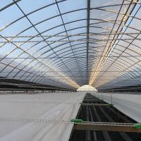 China Water Heating System Korean Mode Film Agricultural Greenhouses for Year-Round Farming for sale