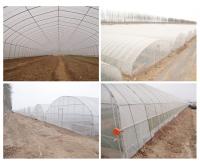 China Single-Span Agricultural Greenhouses Solution for Growing Produce for sale