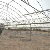 China Single Layer Roof and Side Ventilation Namibia Commercial Greenhouse for Tomatoes Farming for sale