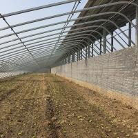 China Vegetable Fruits Flowers  Winter Sunlight Solar Greenhouse Chinese Style for sale
