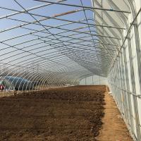 China Vegetable Fruits Flowers  Winter Sunlight Solar Greenhouse Chinese Style for sale