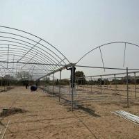 China Film Covered Greenhouse for Agriculture in Namibia Affordable and Customizable Height for sale