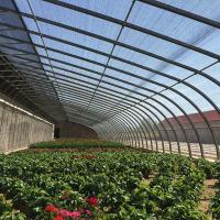 China Vegetable Fruits Flowers  Winter Sunlight Solar Greenhouse Chinese Style for sale